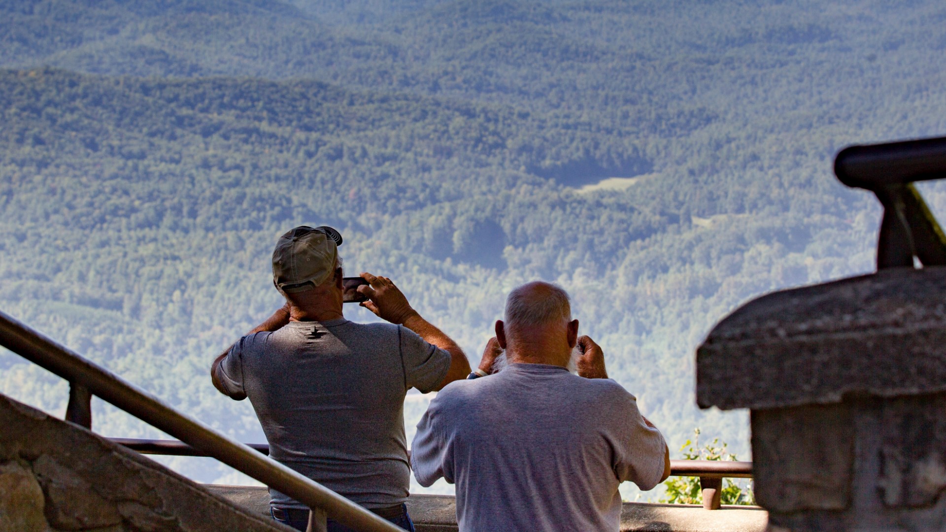Why strange balls of poop appear to be rolling down trails | wtsp.com