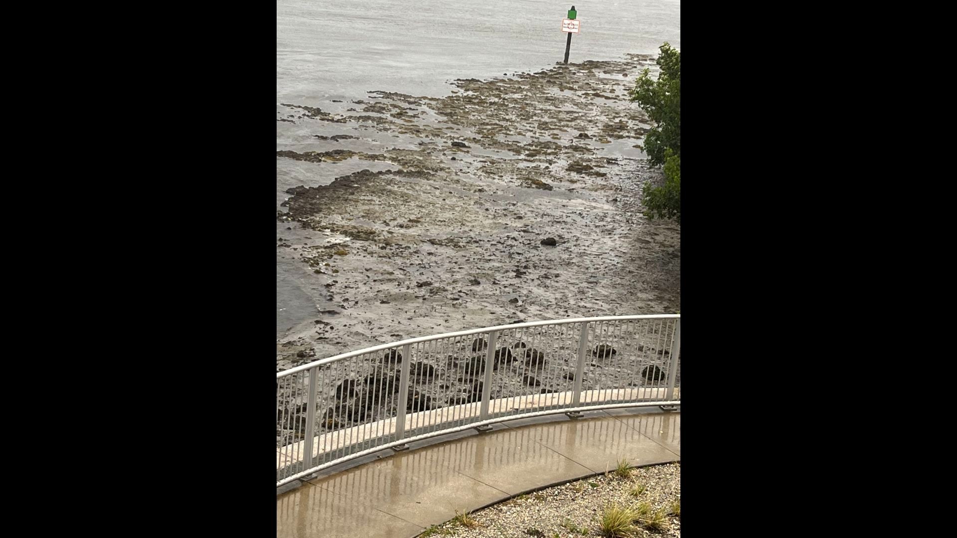 Why did the water in Tampa Bay recede? | wtsp.com