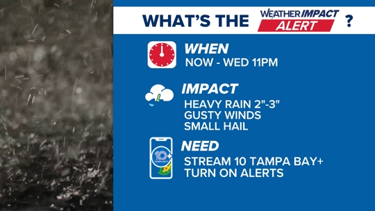 Watch | 10 Tampa Bay Live and On-Demand Videos | Tampa, Florida | wtsp.com