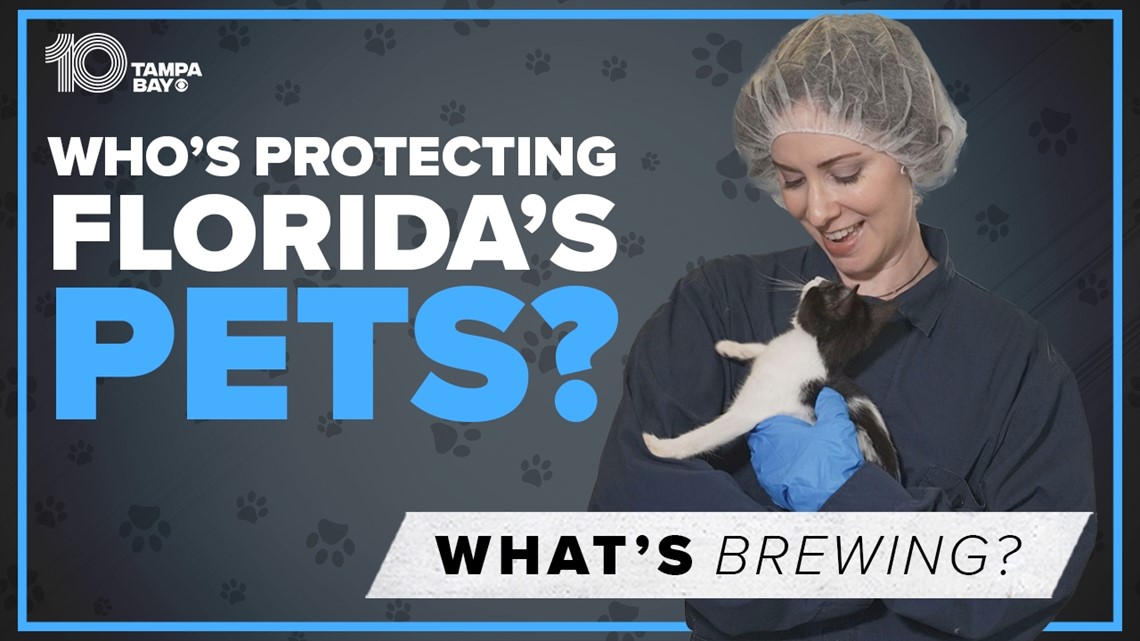 Why passing laws to protect pets is rare in Florida | wtsp.com