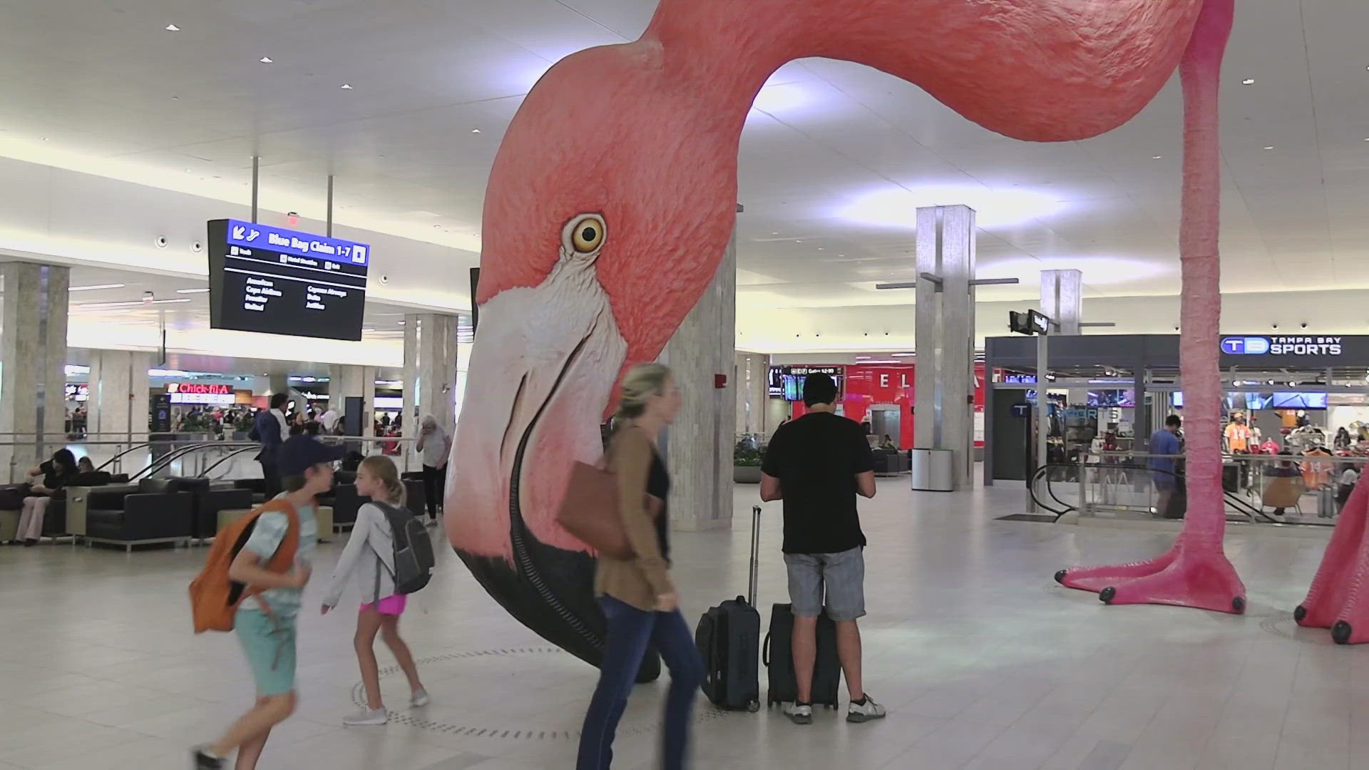Tampa airport's flamingo turns 3 years old | wtsp.com