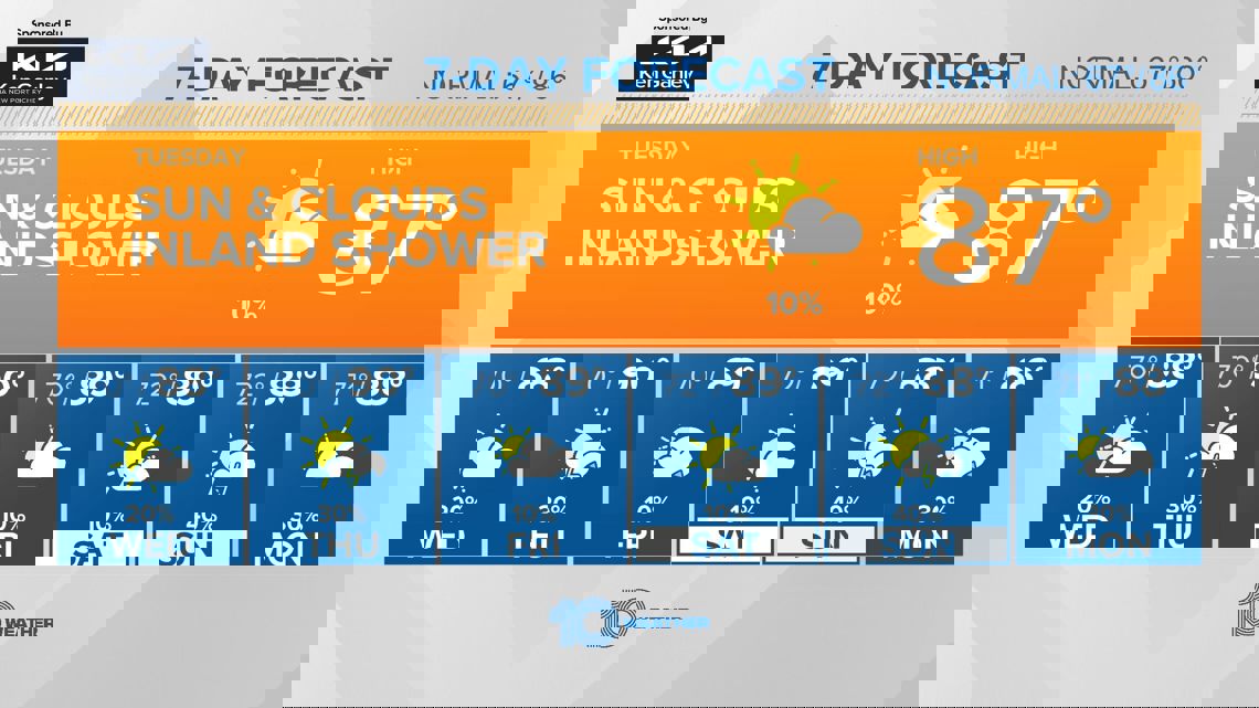 Watch | 10 Tampa Bay Live and On-Demand Videos | Tampa, Florida | wtsp.com