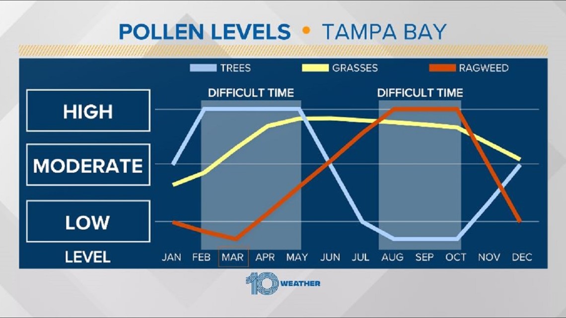 Pollen levels will be high St. Patrick's Day in Tampa Bay | wtsp.com