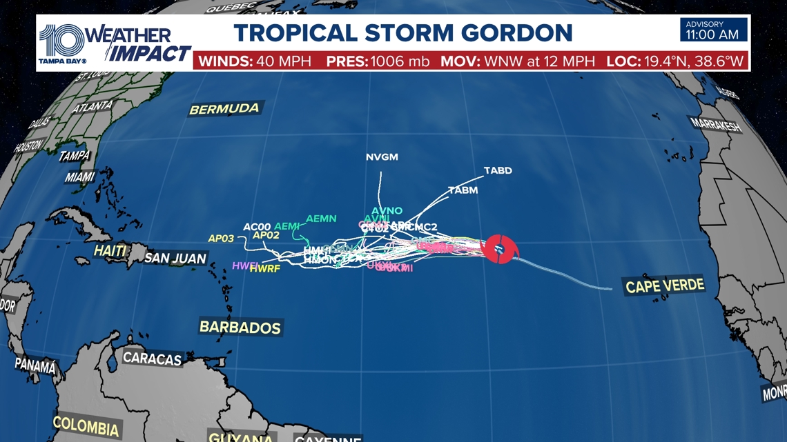Tropical Storm Gordon has formed, NHC says | wtsp.com