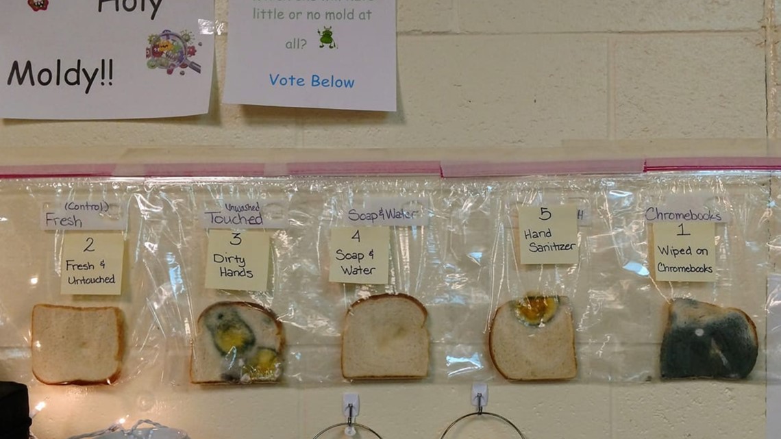 Idaho teacher's experiment shows importance of washing hands | wtsp.com