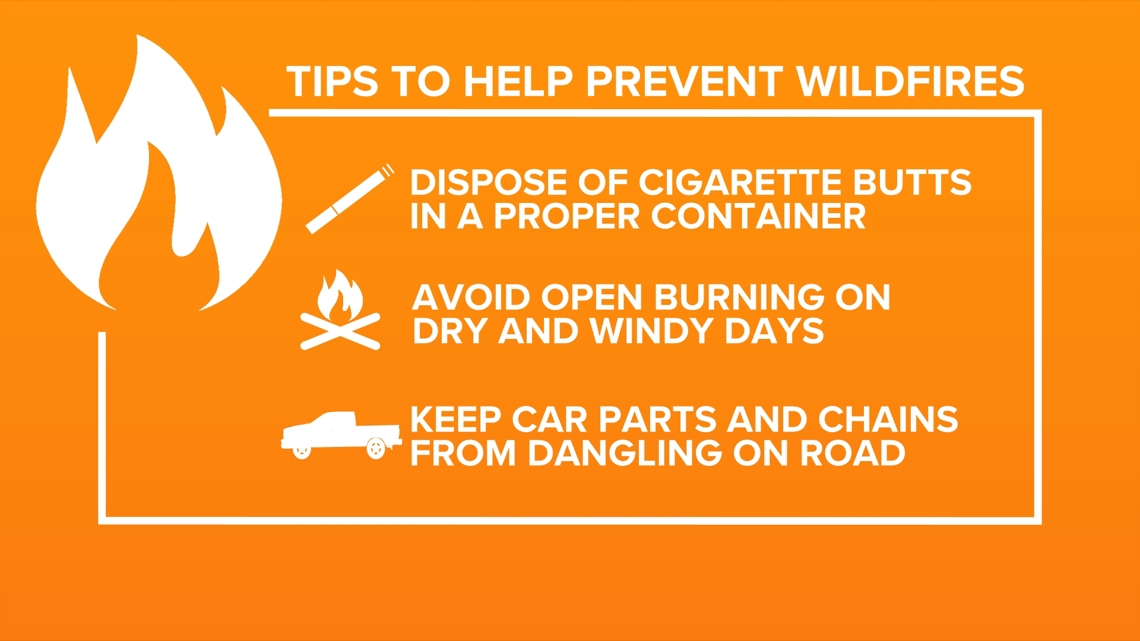 GUIDE: Florida severe weather preparedness | wtsp.com