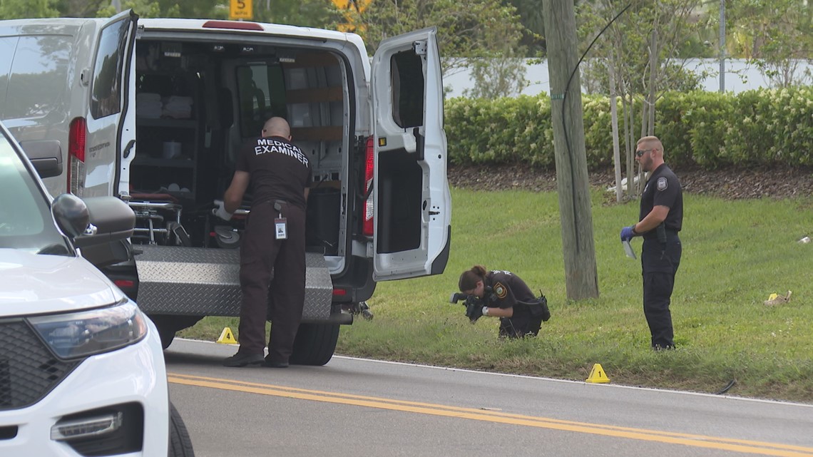 Police investigate hit-and-run after man's body found in ditch | wtsp.com