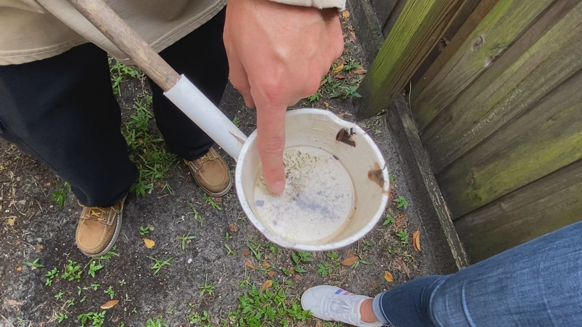 Here are ways you're breeding mosquitos in your backyard | wtsp.com