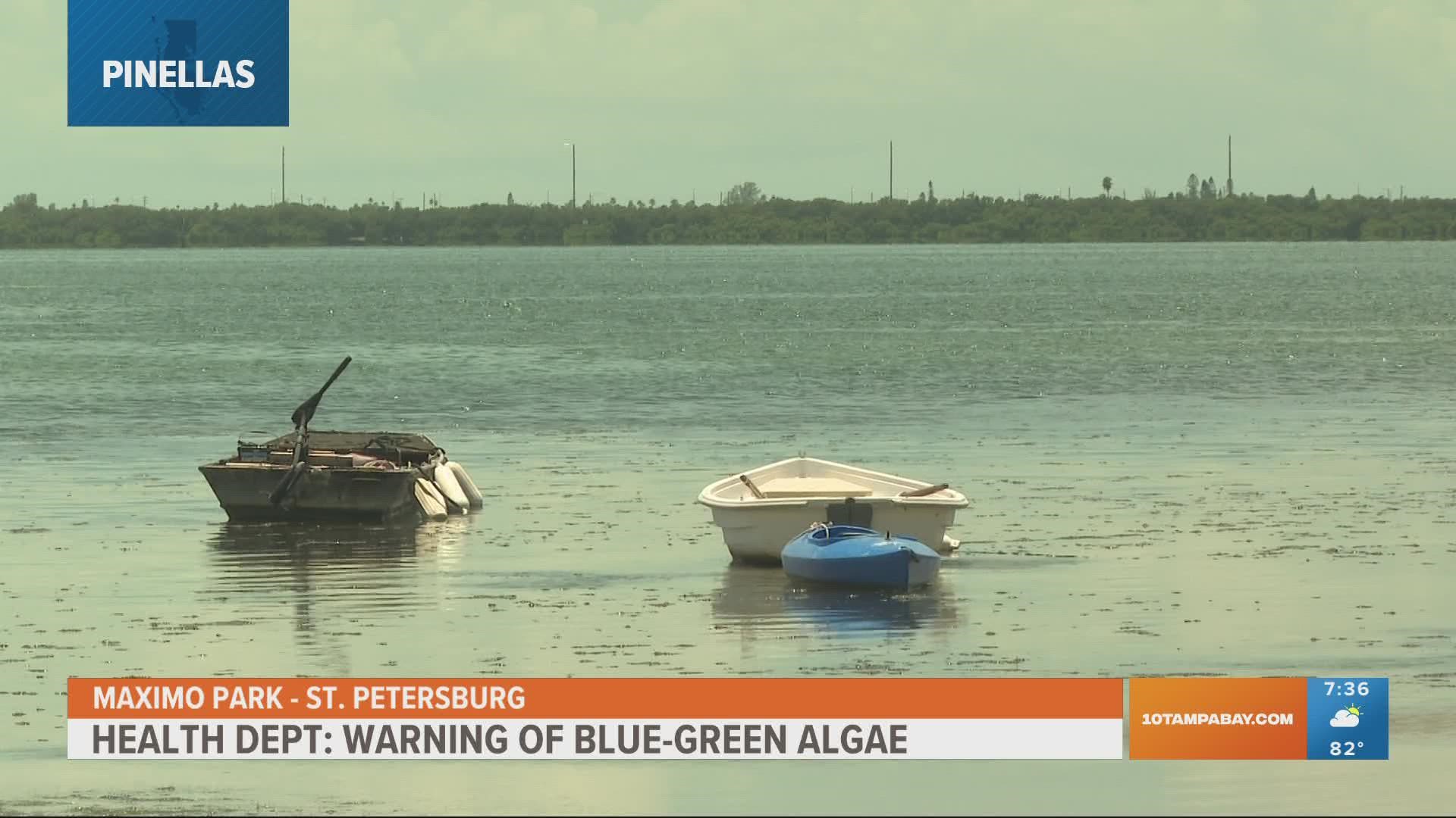 Warning of blue-green algae bloom at Maximo Park in St. Pete | wtsp.com