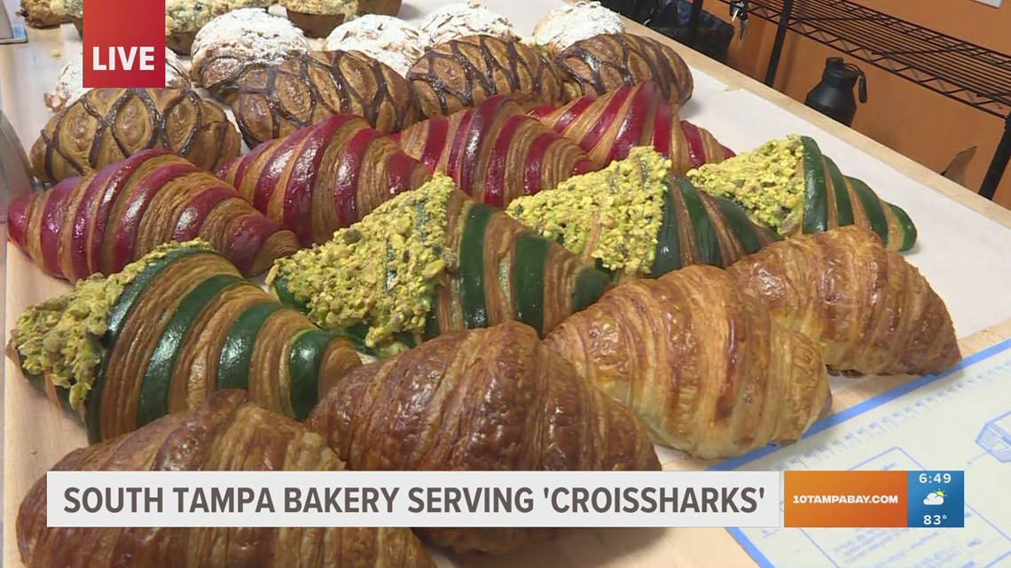 State Flour Bakery in South Tampa 'making waves' during Shark Week ...