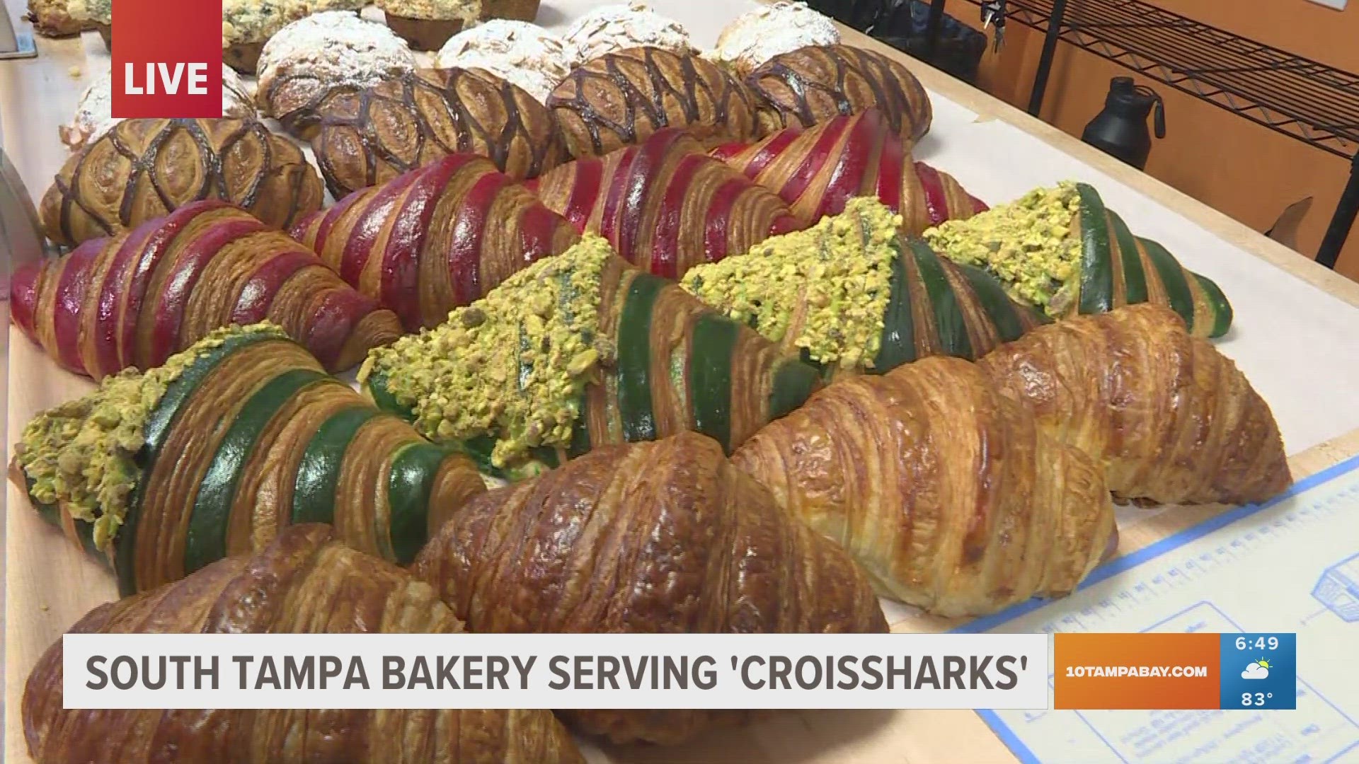 State Flour Bakery in South Tampa 'making waves' during Shark Week ...