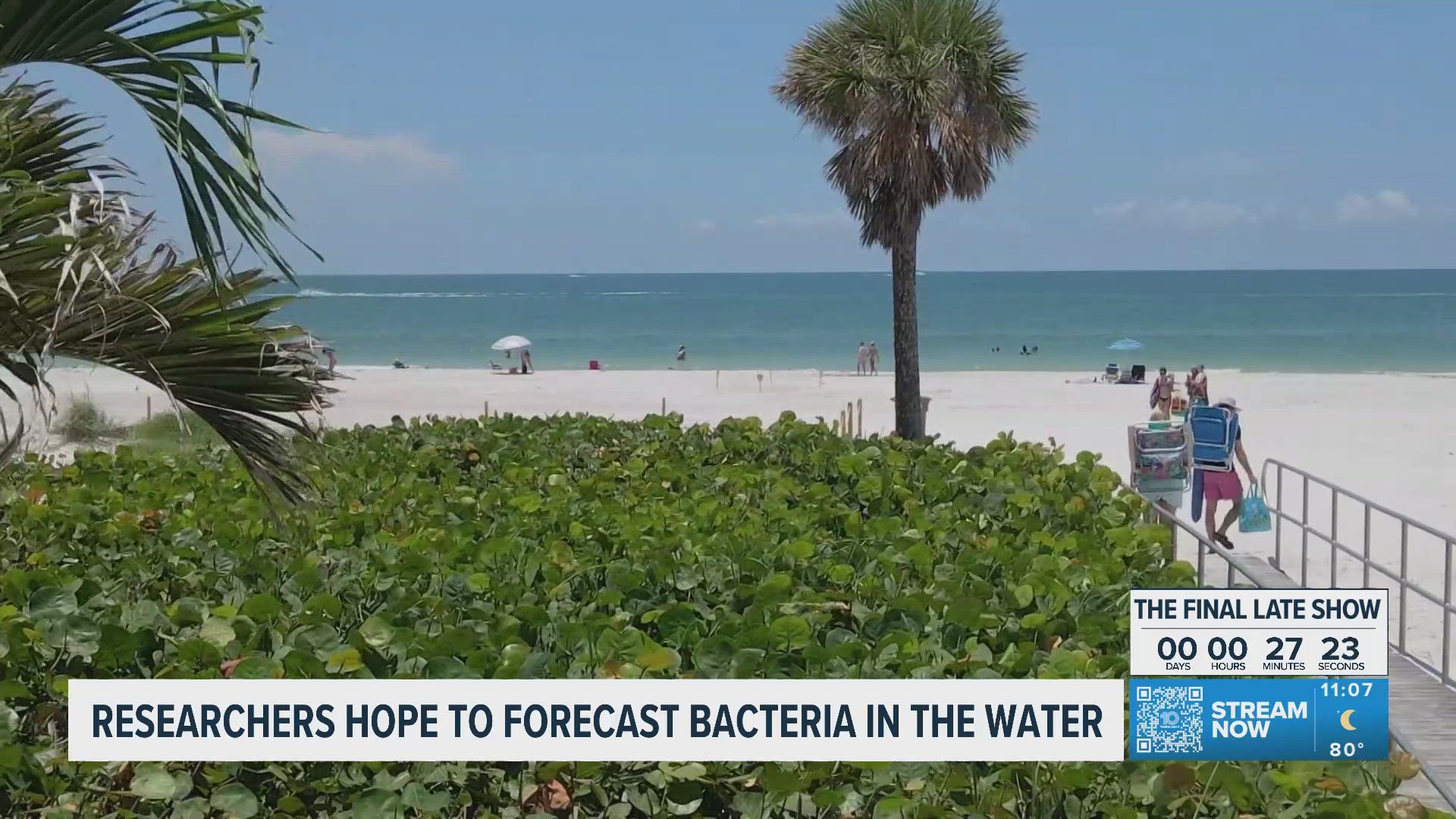 Florida researchers hope to forecast flesh-eating bacteria Vibrio ...