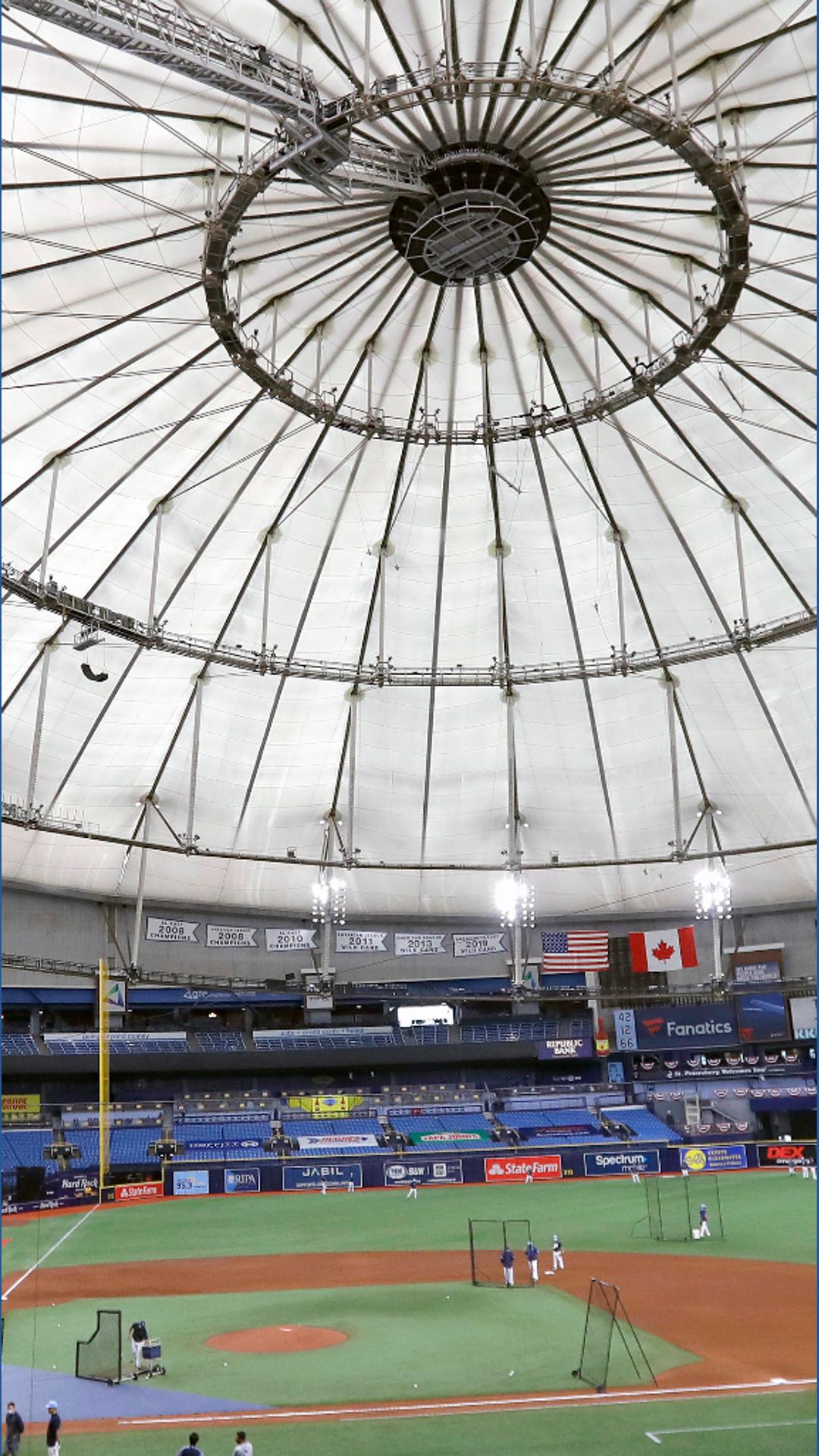 MLB attendance rises for third season in 2025 | wtsp.com