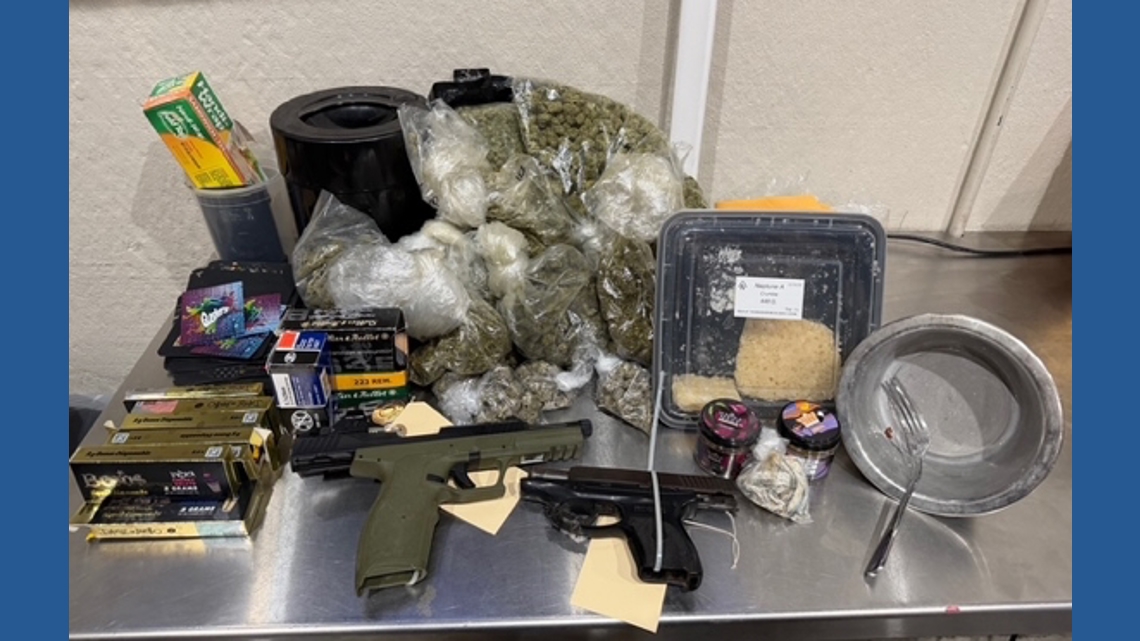 Hillsborough County Sheriff's Office arrests eight-time convicted felon ...