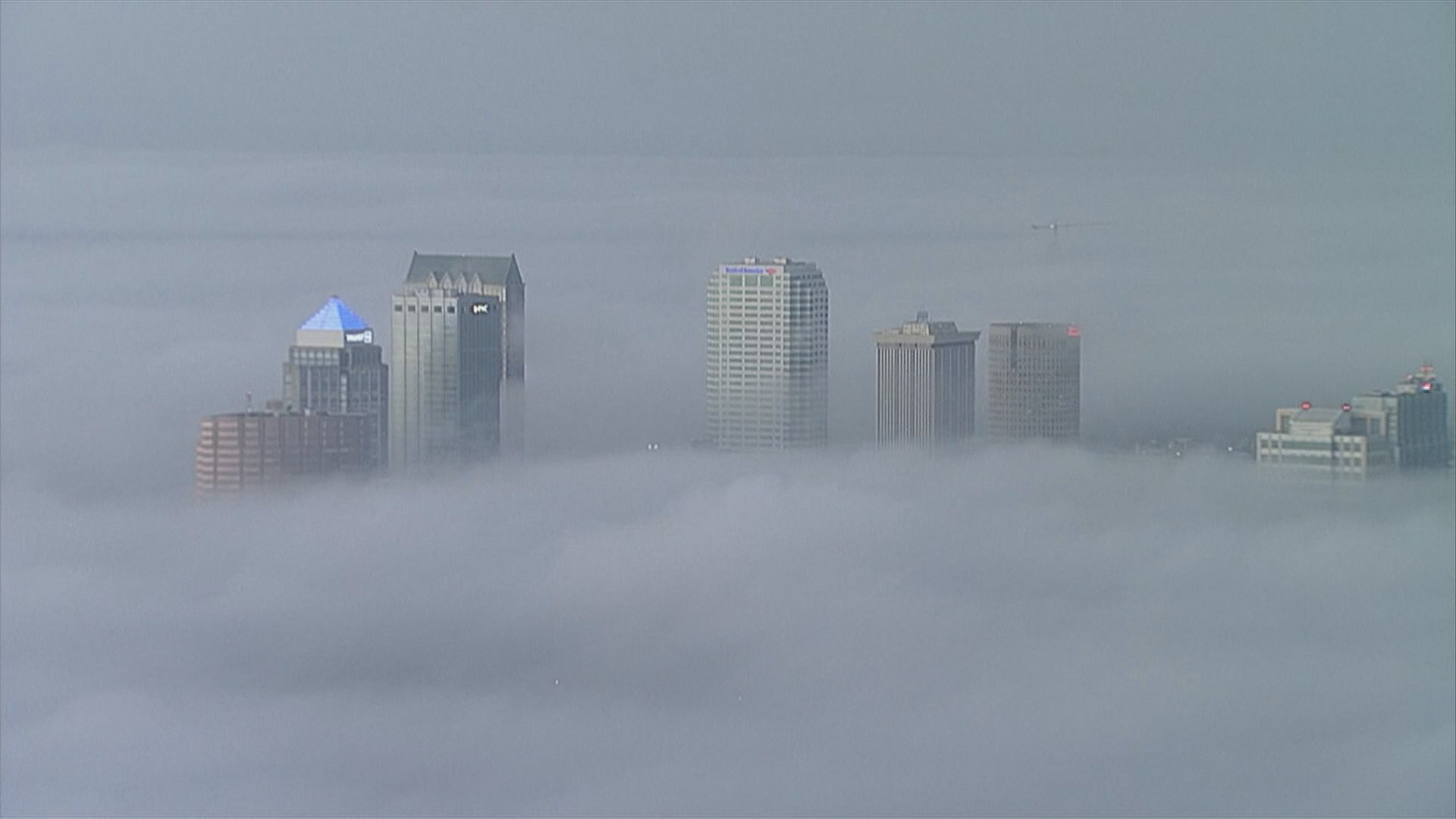 Check out these foggy Tampa Bay pictures | wtsp.com