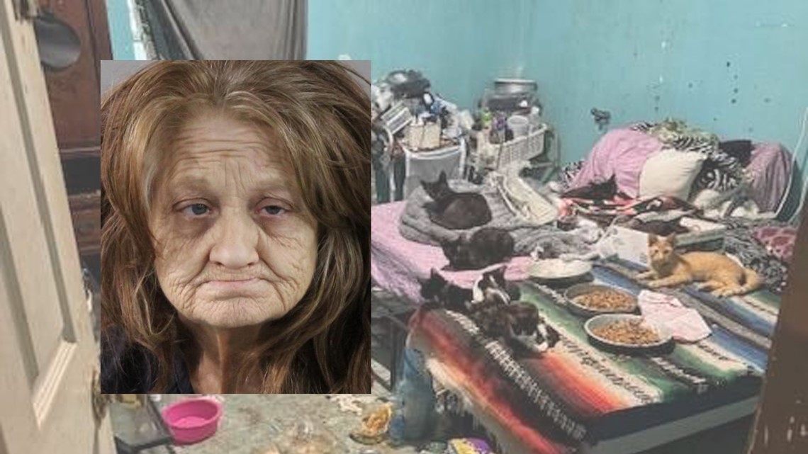 Woman arrested for hoarding 35 cats in Polk County home | wtsp.com