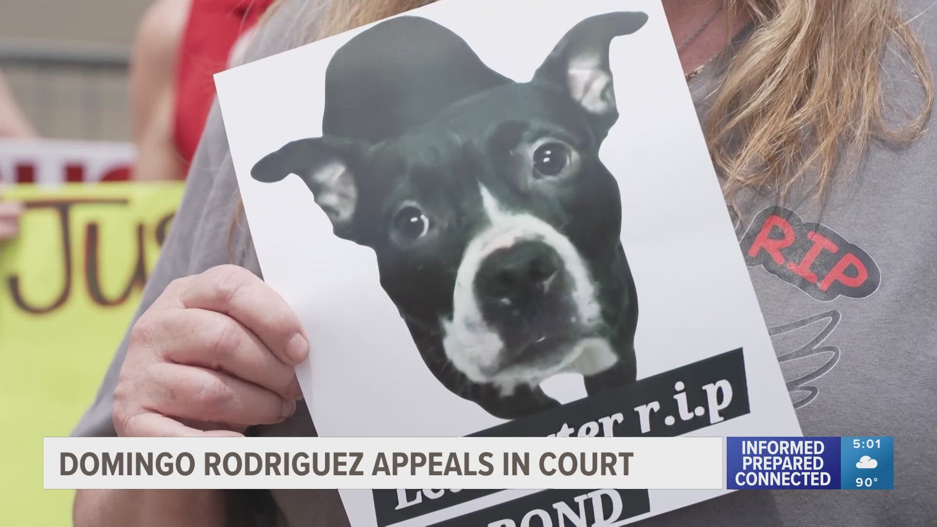 Man convicted in 'Dexter the dog' abuse case asks for bond | wtsp.com