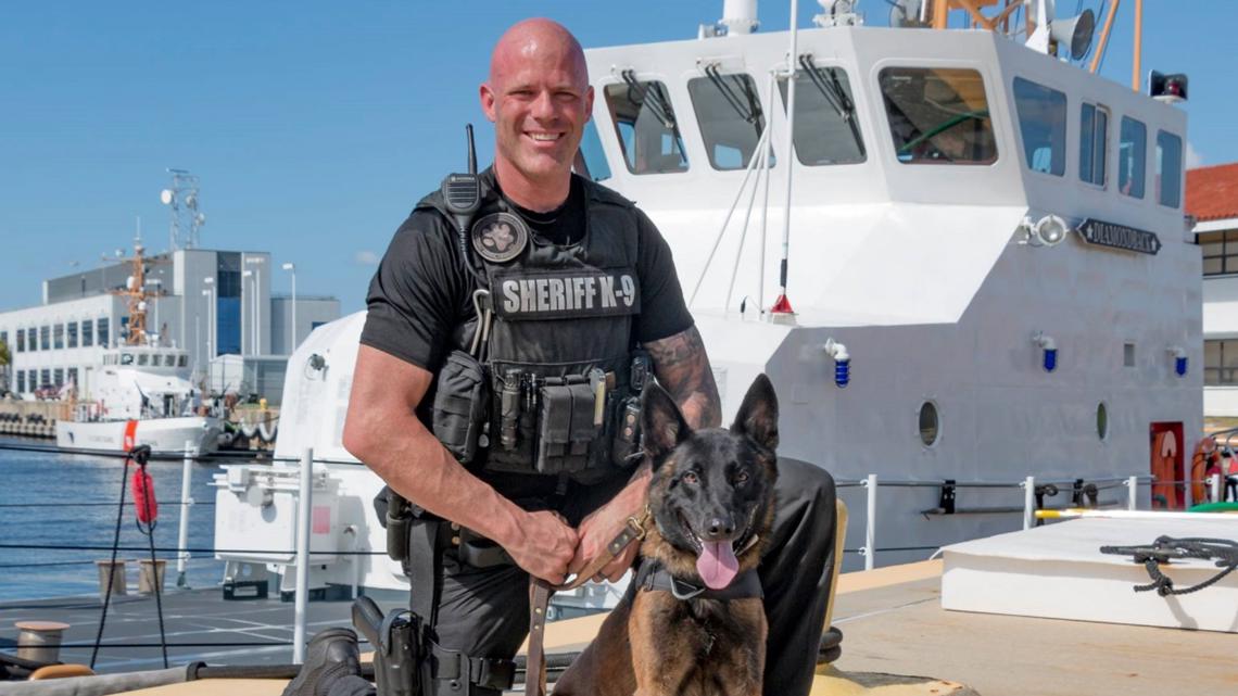Pinellas County K-9 Taco retires after saving his handler's life | wtsp.com