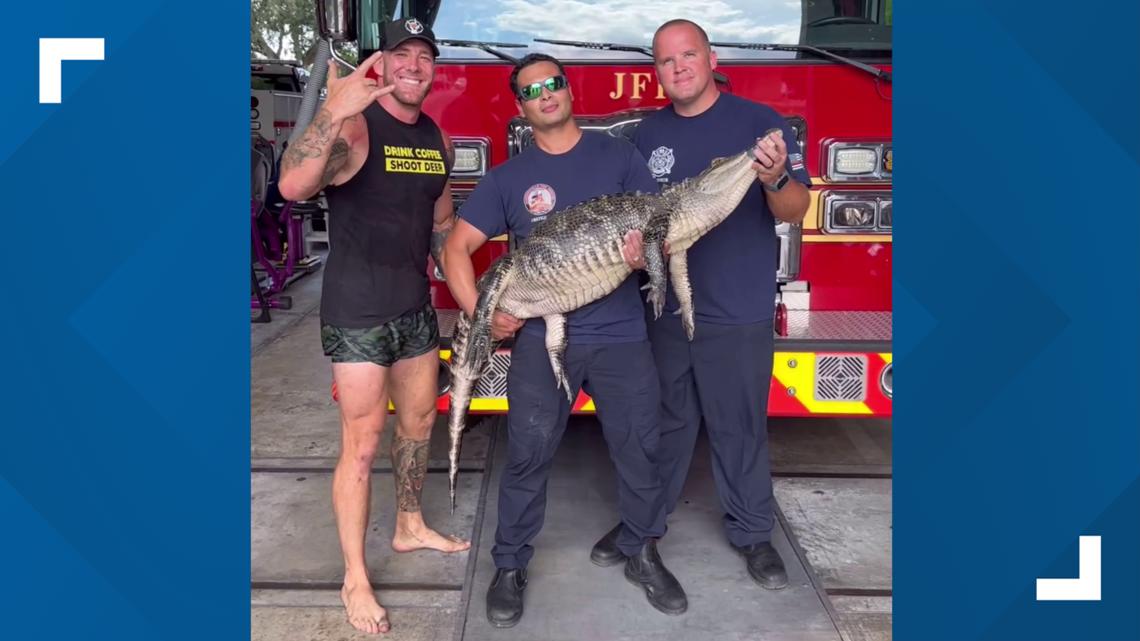 Florida man wrangles gator at fire station | wtsp.com