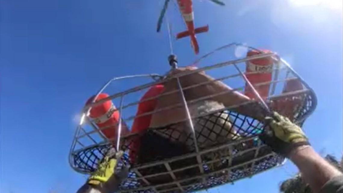 Coast Guard point-of-view videos show dramatic Ian rescues | wtsp.com