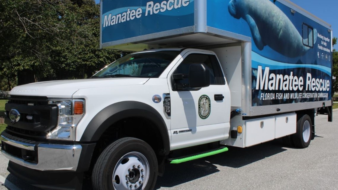 FWC new manatee rescue transport | wtsp.com