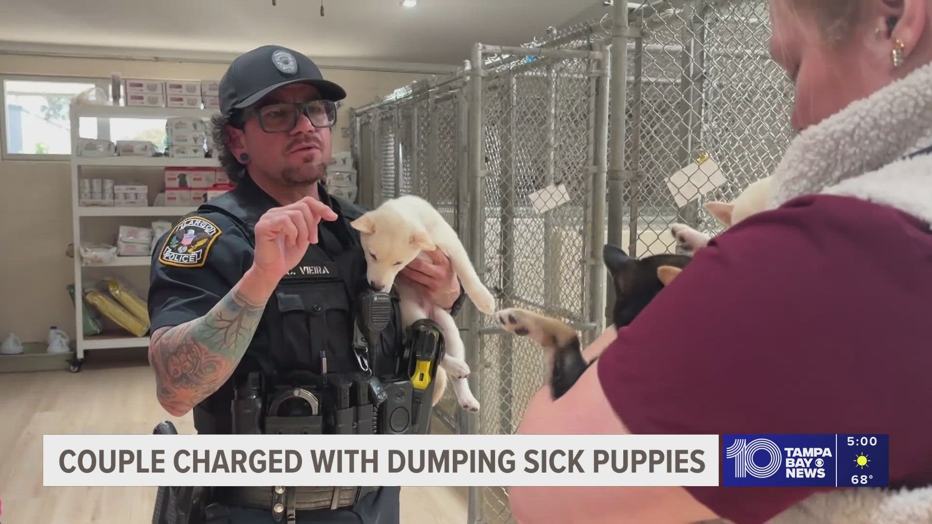 2 arrested for dumping 12 dogs at Largo park, leading to 1 puppy's ...