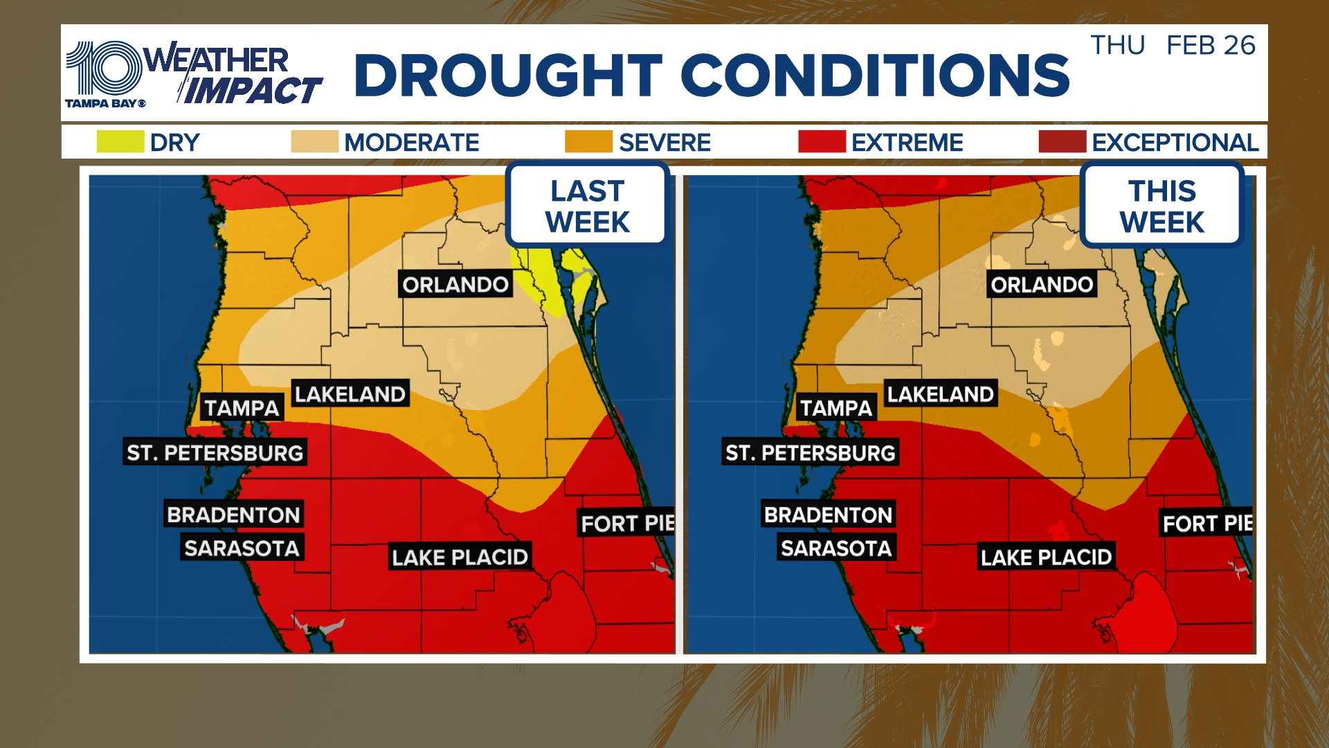 Florida hits 100% drought coverage for first time on record | wtsp.com
