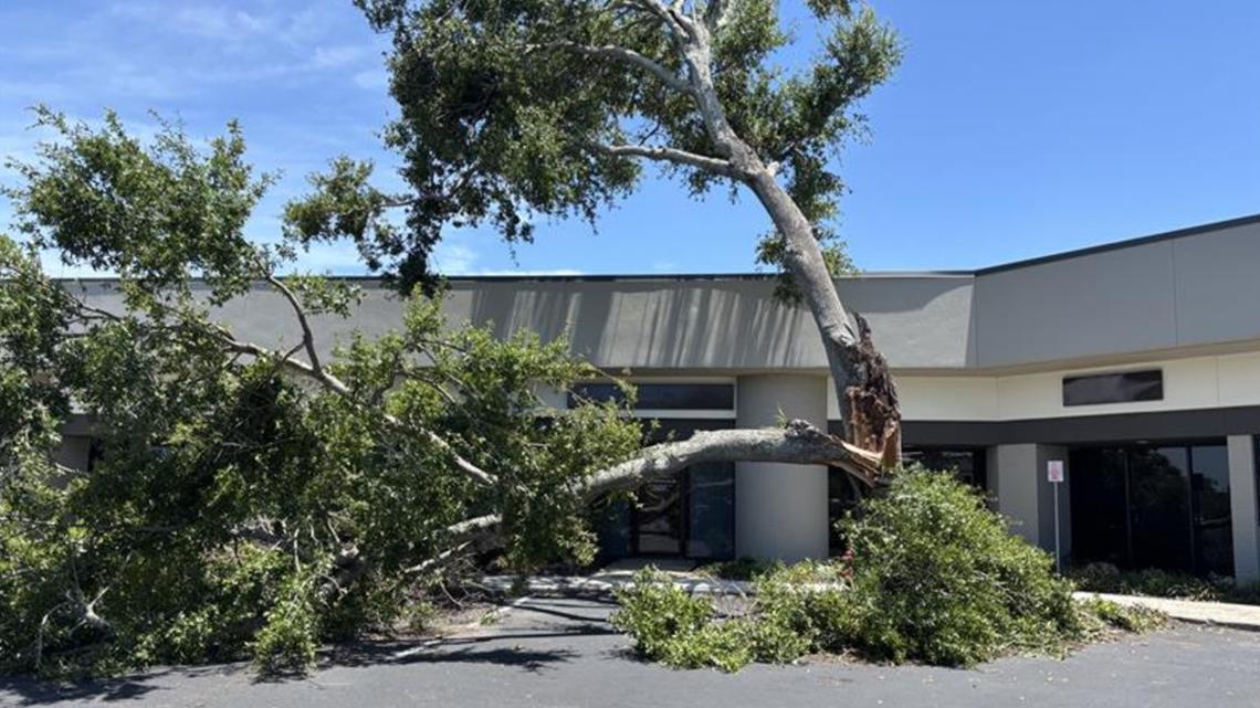 Moffitt Cancer Center moves forward on Speros FL campus | wtsp.com