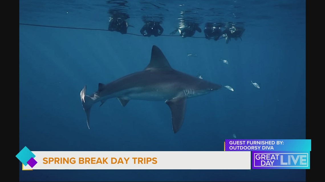 Spring Break day trips | wtsp.com