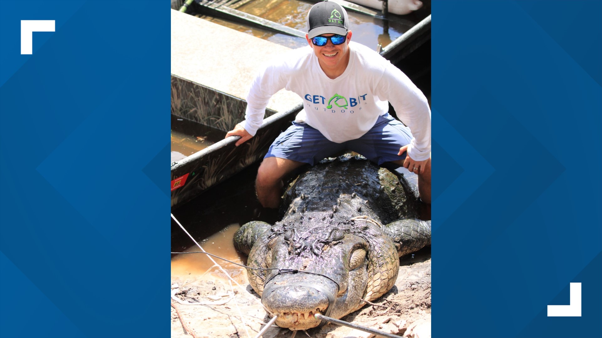 Hunters catch 920-pound gator in Central Florida | wtsp.com