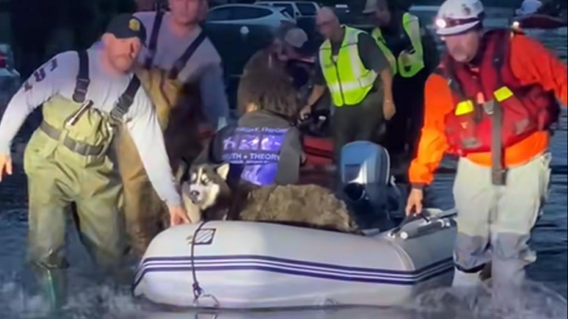 500 rescued from neck-deep water at apartment after Milton | wtsp.com