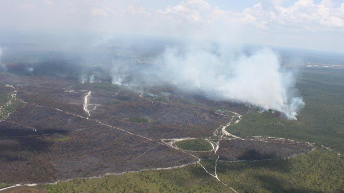 Polk County wildfire is contained | wtsp.com