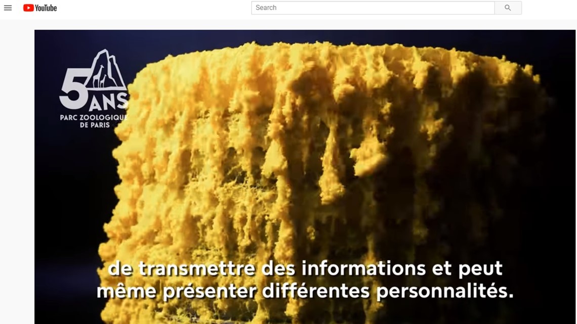 Paris zoo to debut 'The Blob' organism with 720 sexes | wtsp.com