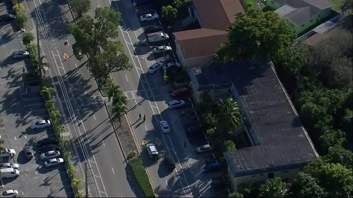 2 children killed in South Florida hit-and-run crash | wtsp.com