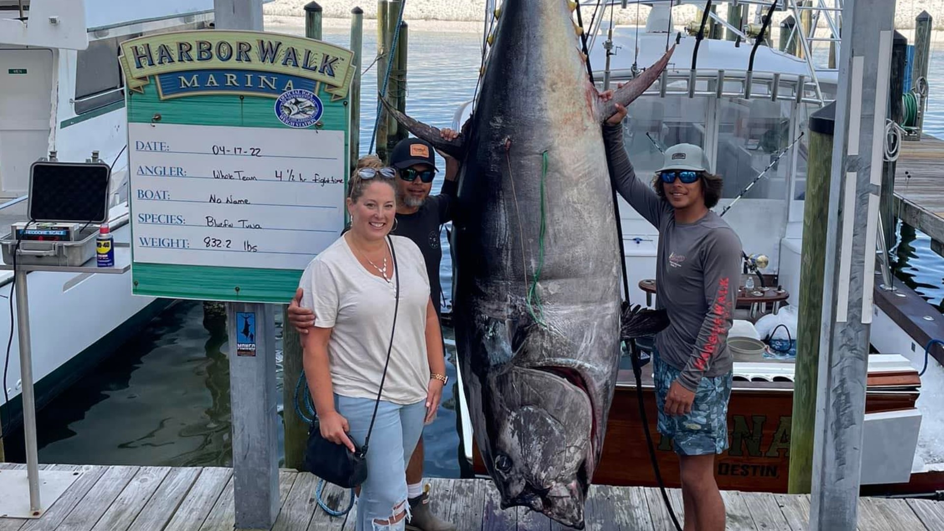 Florida boaters reel in massive 832-pound Bluefish tuna | wtsp.com