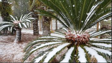 Here's how much snow Florida received in the rare January 2025 winter ...