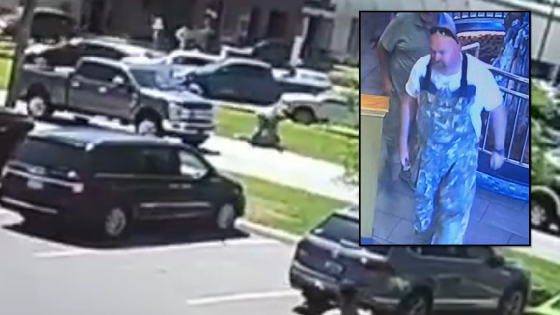 Watch: Driver exits car and punches elderly man after argument | wtsp.com