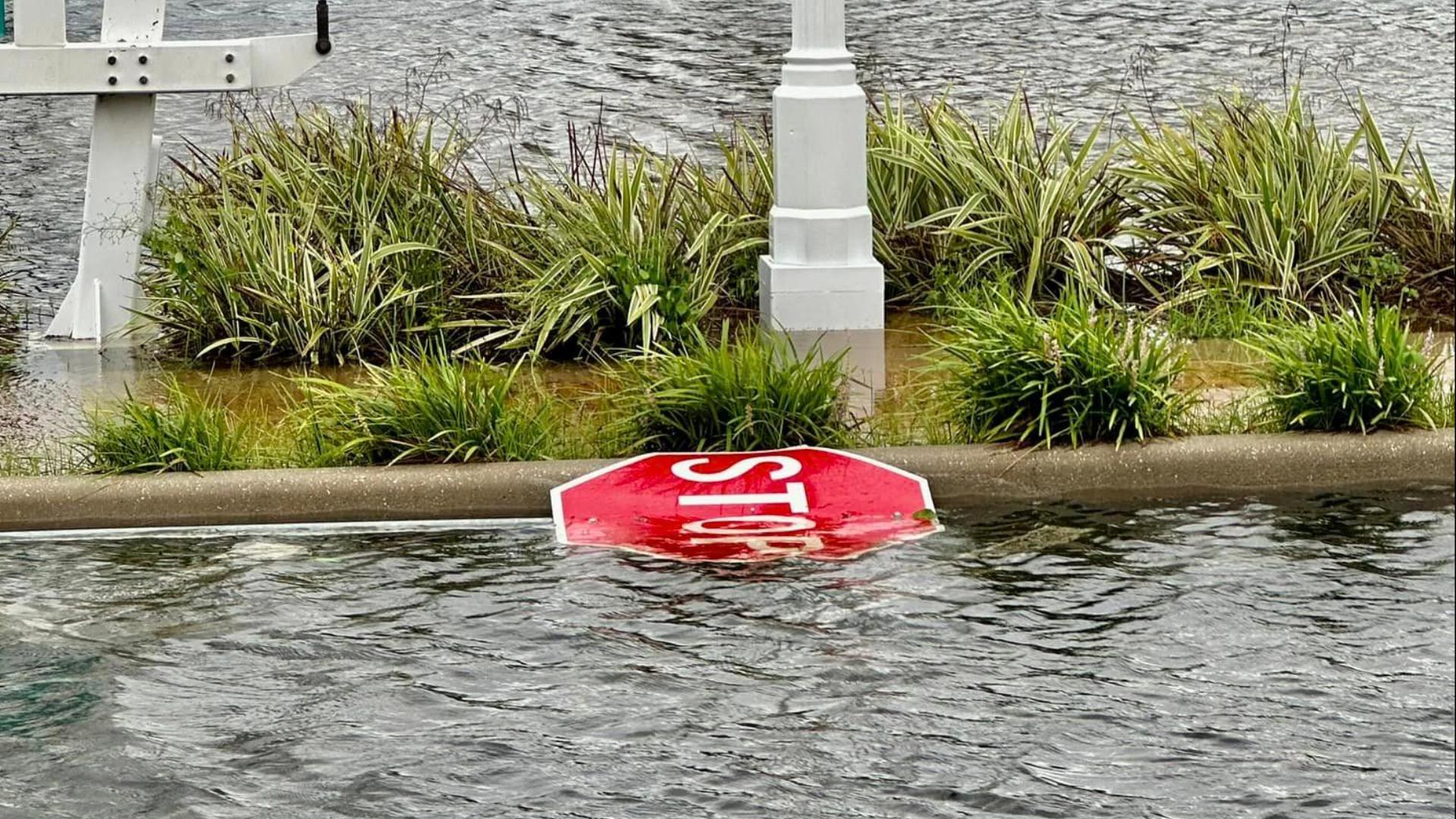 Hurricane Debby damage: Tampa Bay assesses flooding after storm | wtsp.com