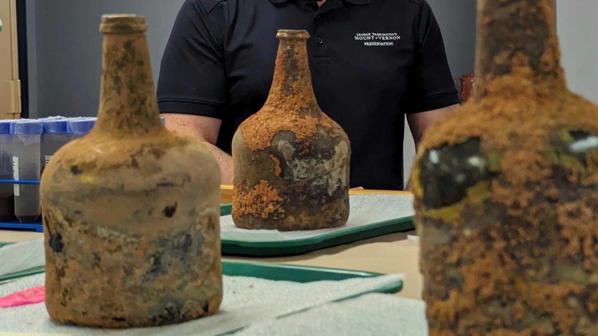 George Washington cherries unearthed at Mount Vernon | wtsp.com