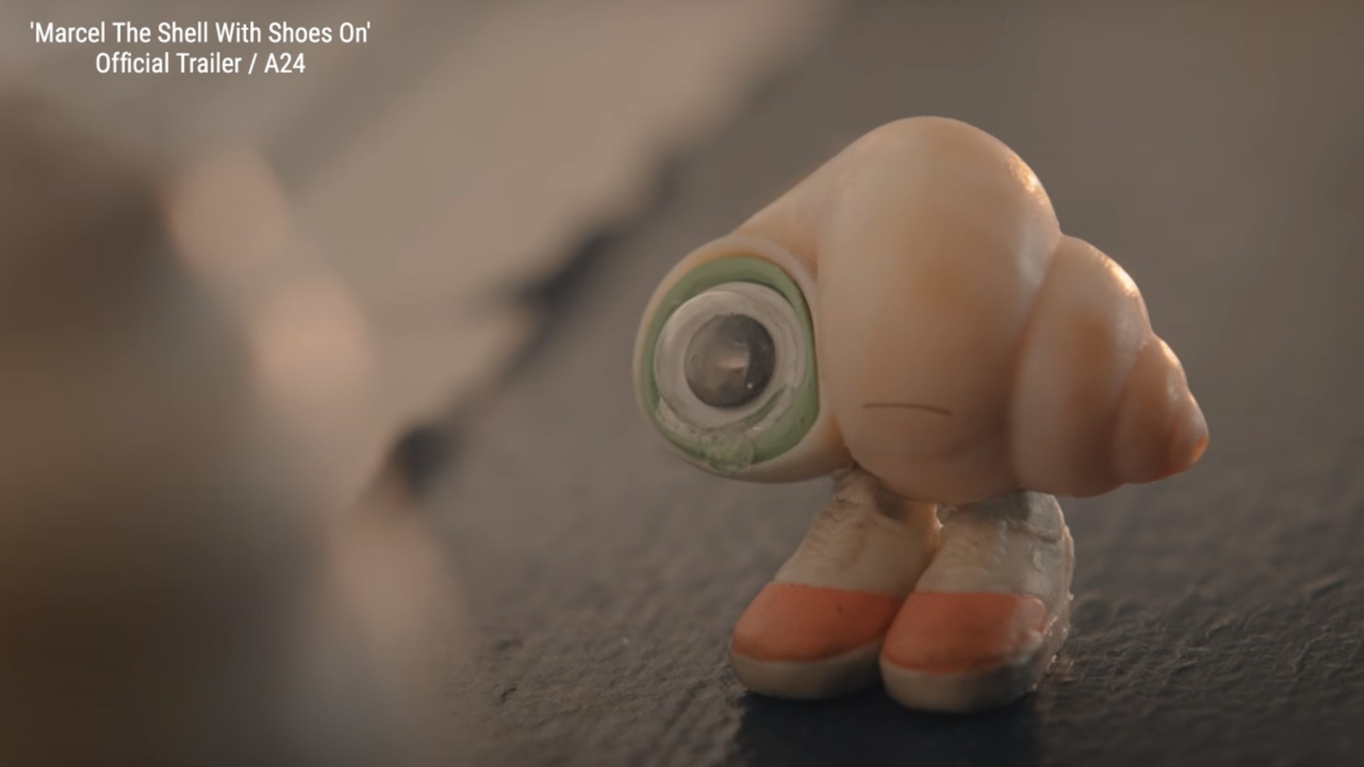 Marcel The Shell Movie Trailer released; movie out in June | wtsp.com