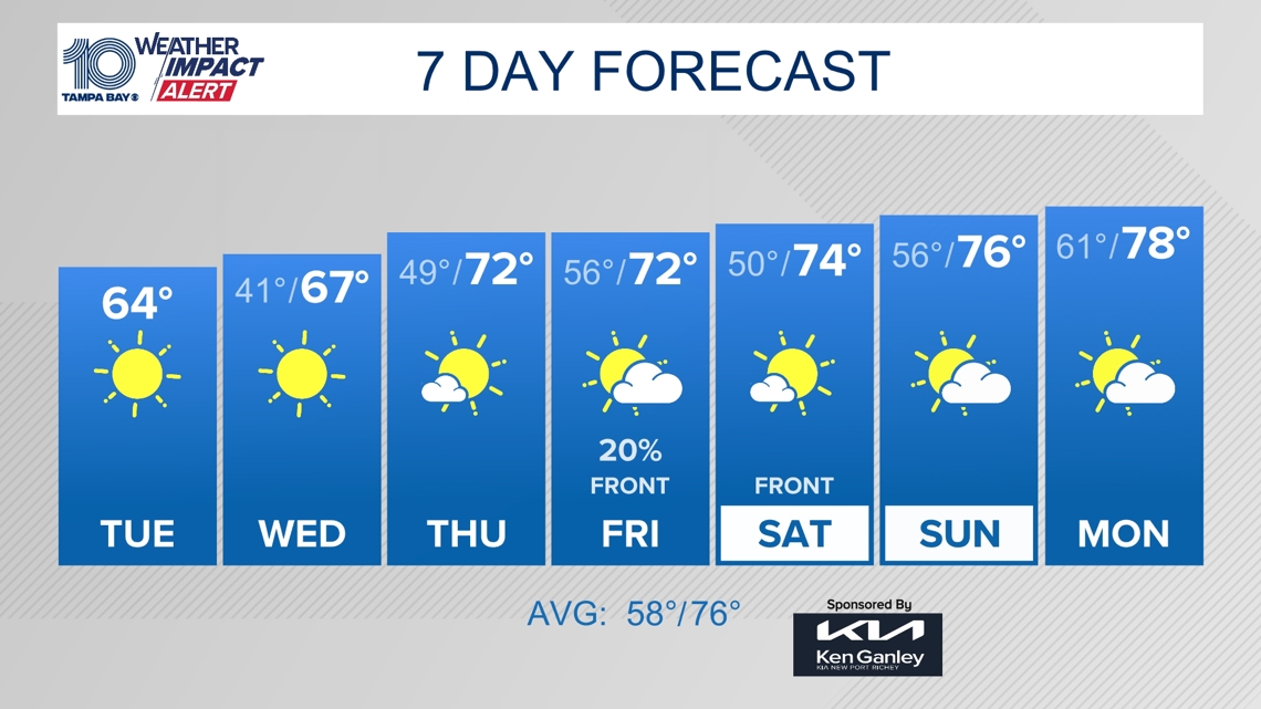 Watch | 10 Tampa Bay Live and On-Demand Videos | Tampa, Florida | wtsp.com