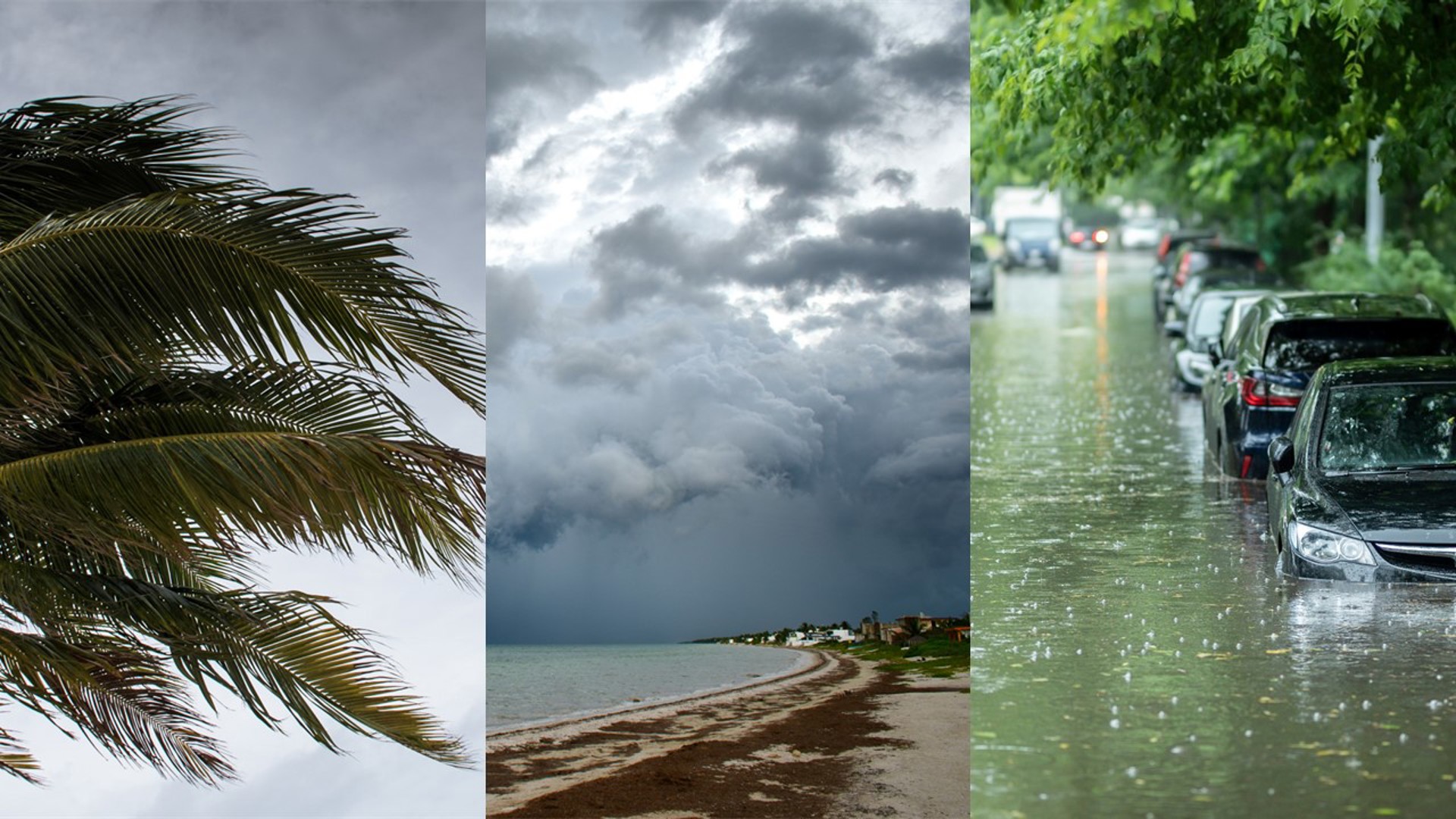 Tropical storm in Florida: County-by-county look at impacts | wtsp.com
