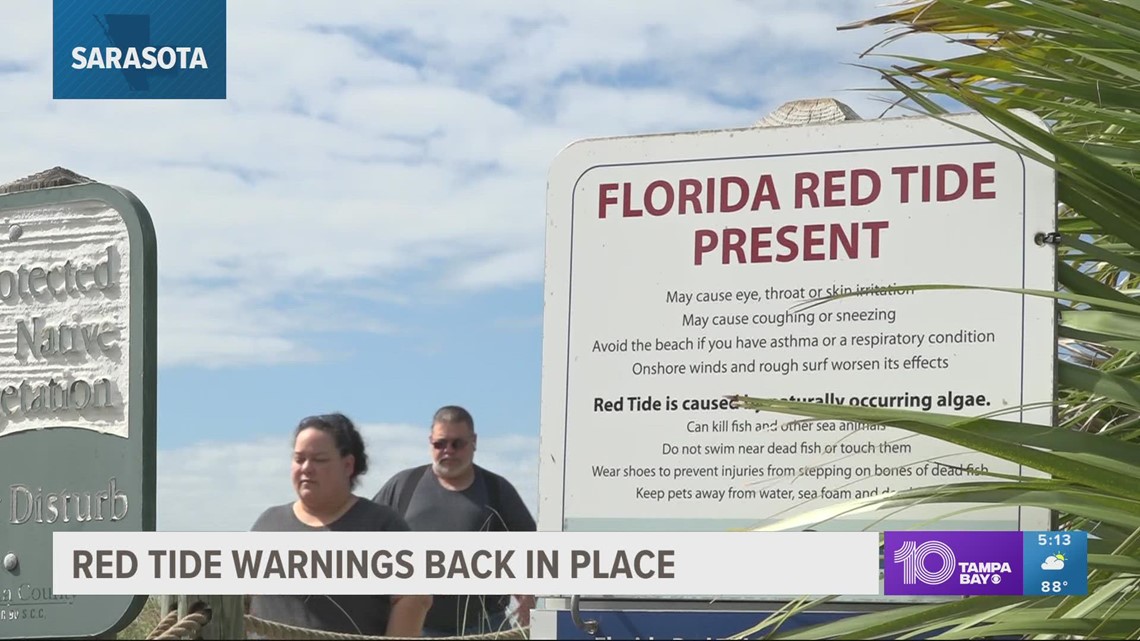 Red tide warnings back in place at Sarasota County beaches | wtsp.com