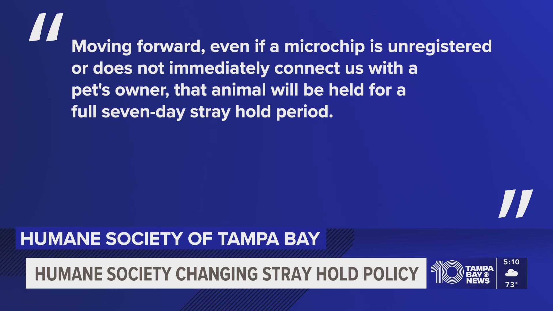 Humane Society of Tampa Bay changing stray dog hold policy | wtsp.com