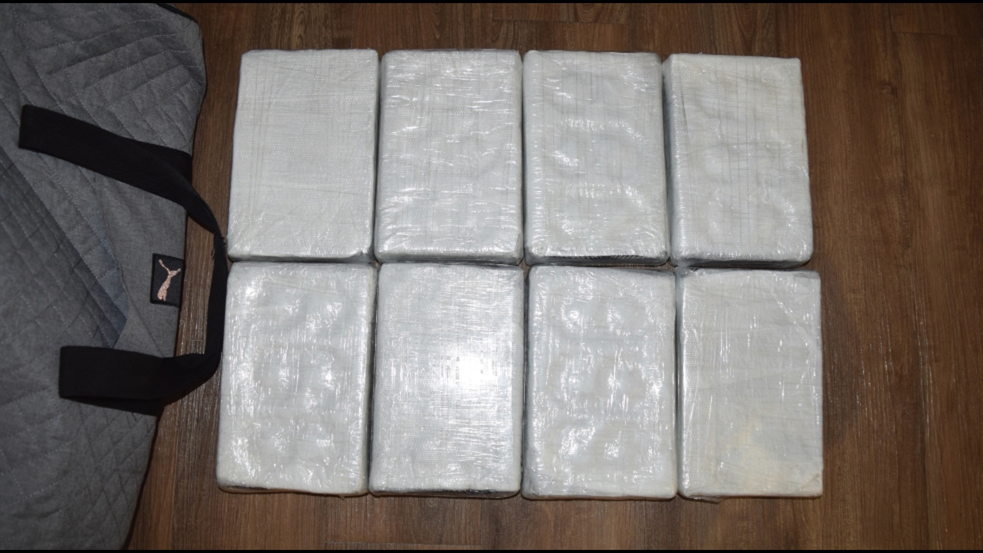 Pinellas County drug bust reveals dog fighting ring | wtsp.com