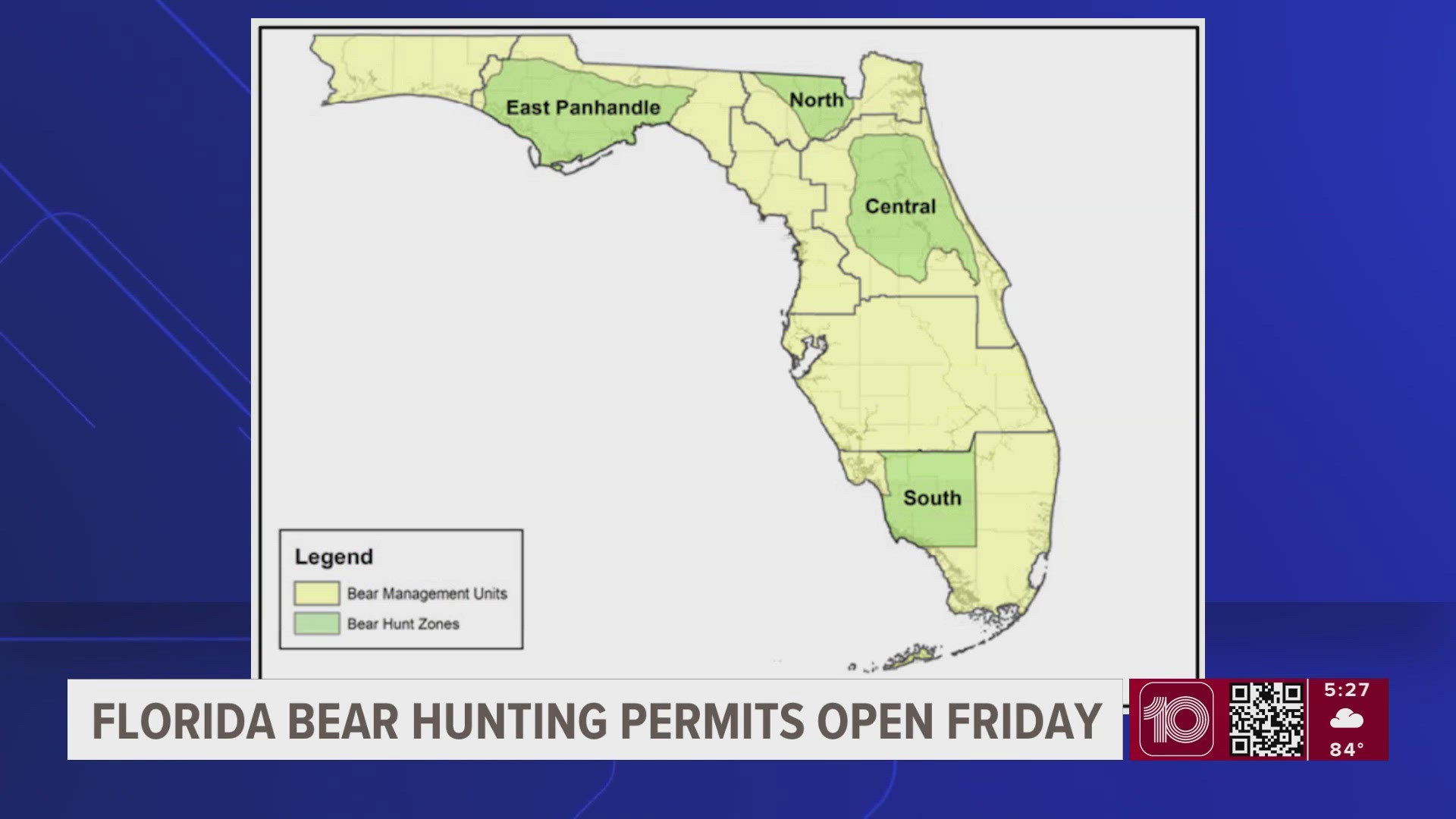 Florida bear hunting permits open this week | wtsp.com