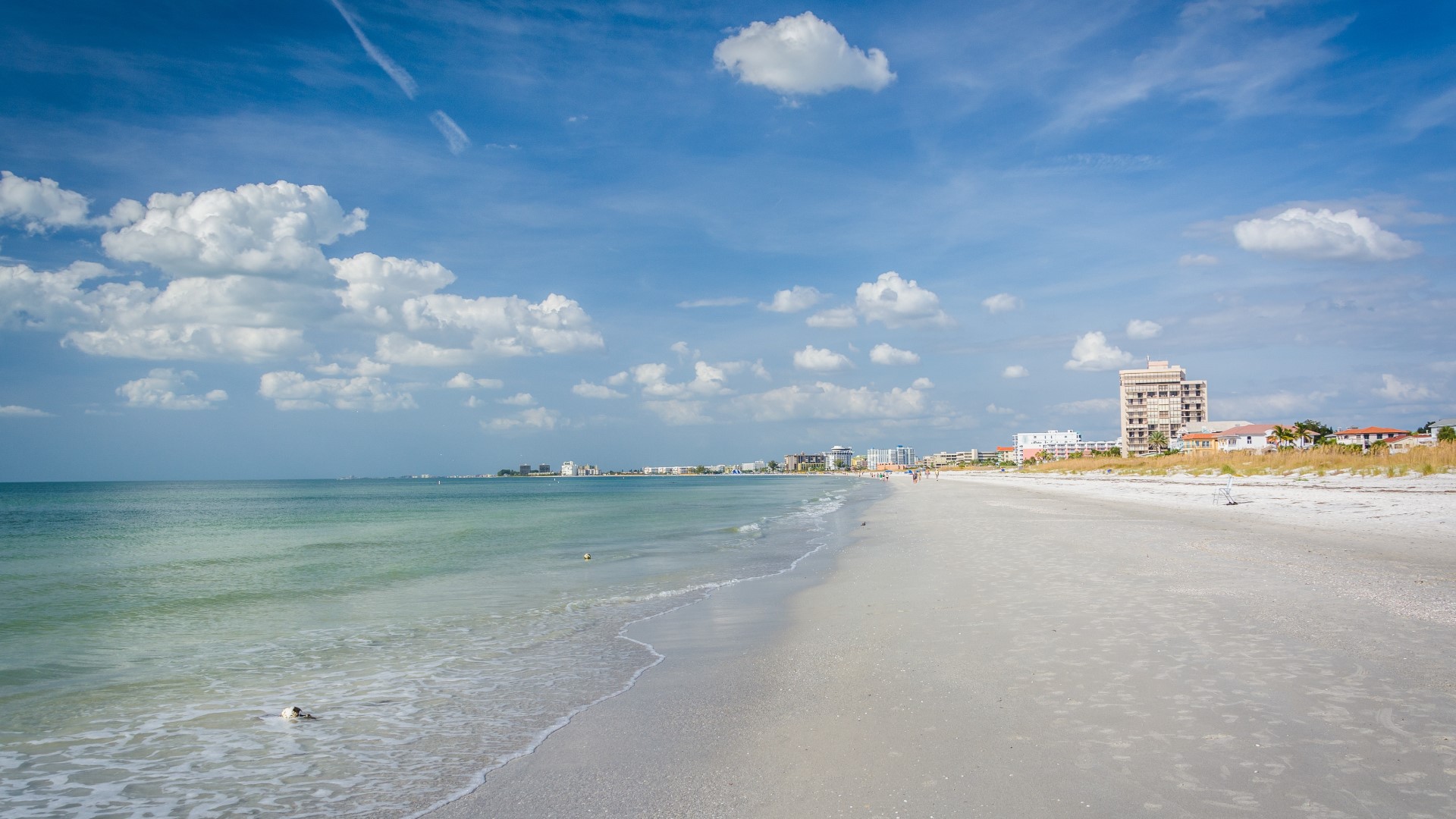 Trip Advisor's Best Beaches in the US: 3 Tampa Bay beaches listed ...