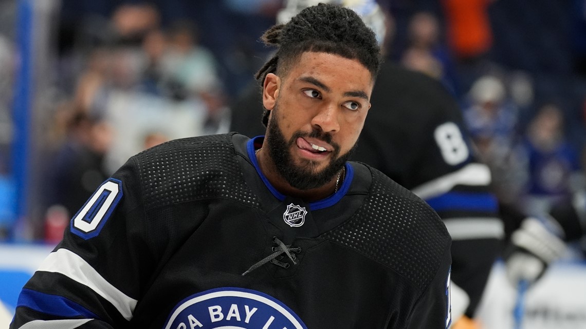 New Tampa Bay Lightning player aims to make hockey more inclusive ...