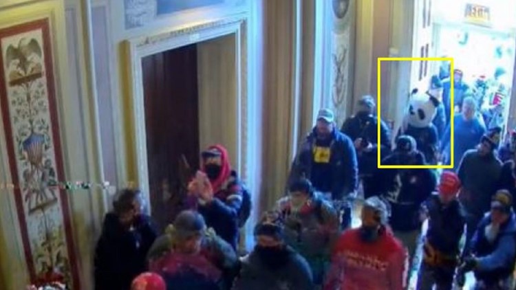 FBI arrests 'Sedition Panda' for Capitol attack | wtsp.com