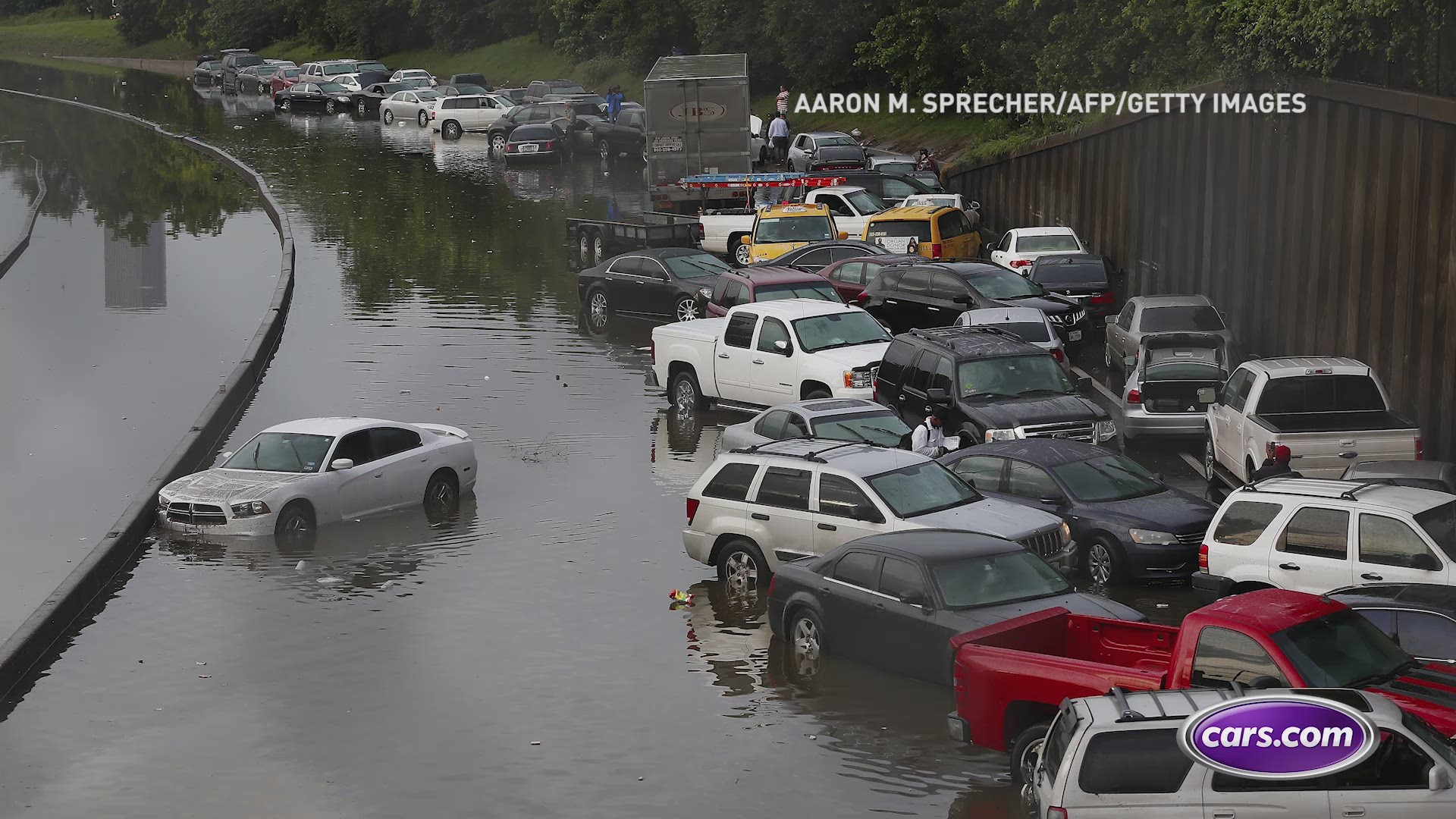 What to do if you're trapped in a car in a flash flood | wtsp.com